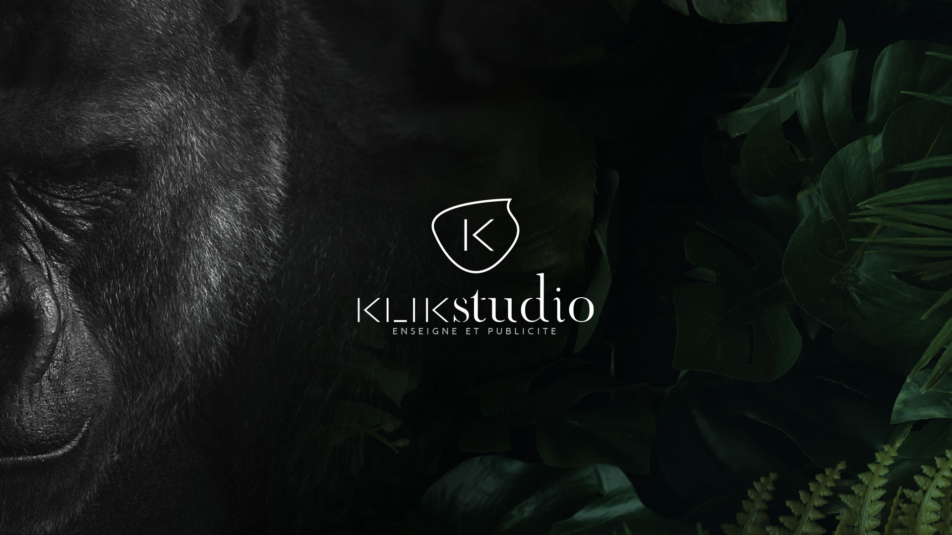 Téléchargez la nouvelle plaquette Klik Studio